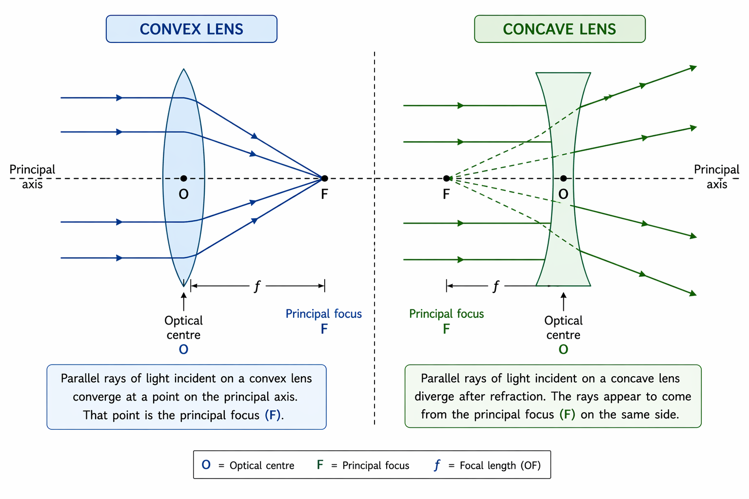 Light – Reflection and Refraction Class 10 Solutions and Mind Map (Free ...